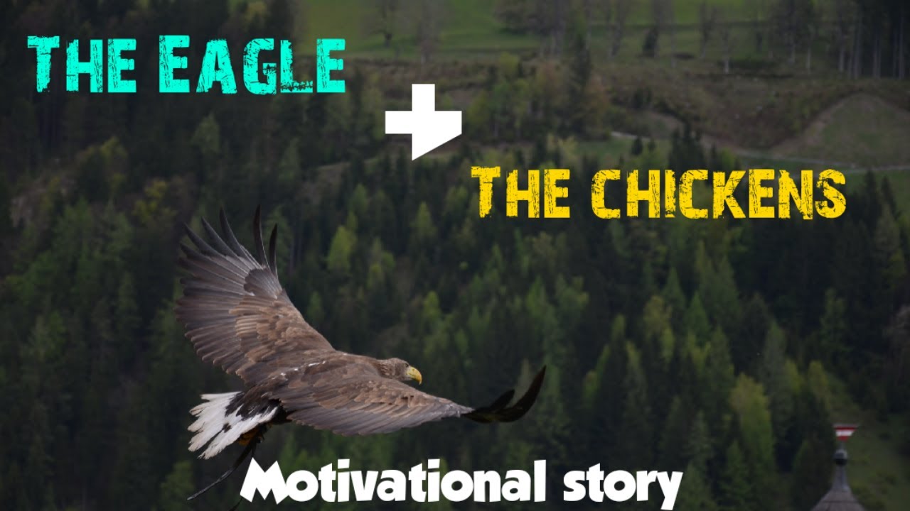 The Eagle And Chickens | Motivational Story | Short Story #128 ...