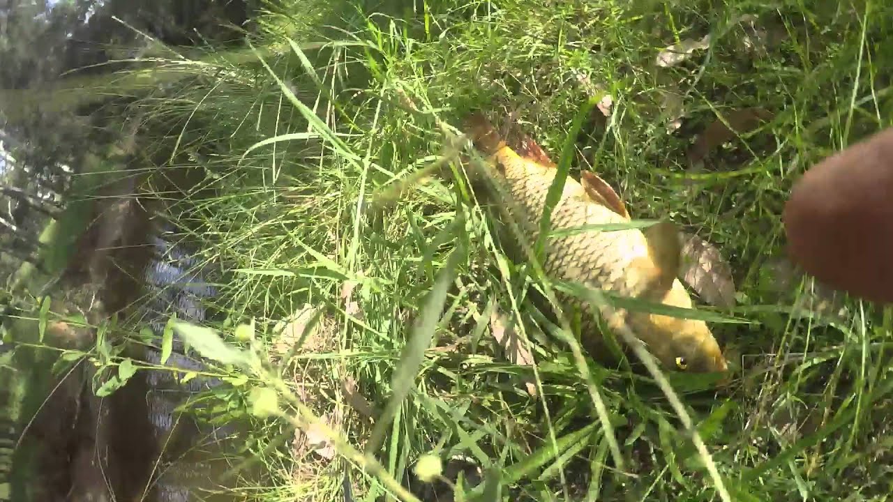 Crusty crabs on floats catching carp carp on soft plastics - YouTube