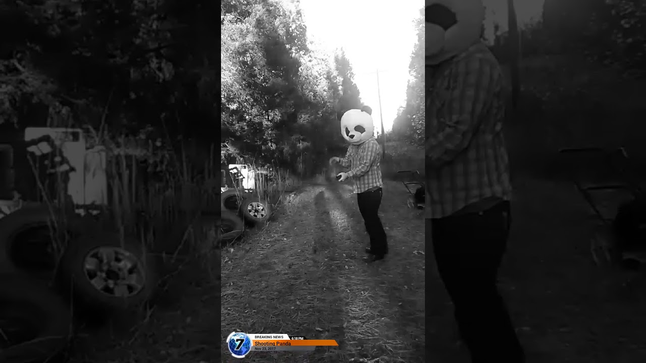 Shooting Panda - YouTube