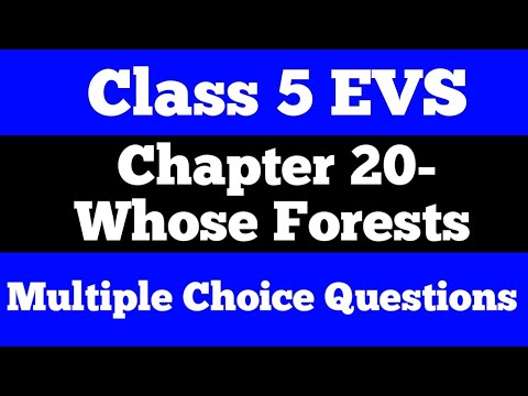 Class 5 EVS chapter 20 Whose forests MCQs - YouTube