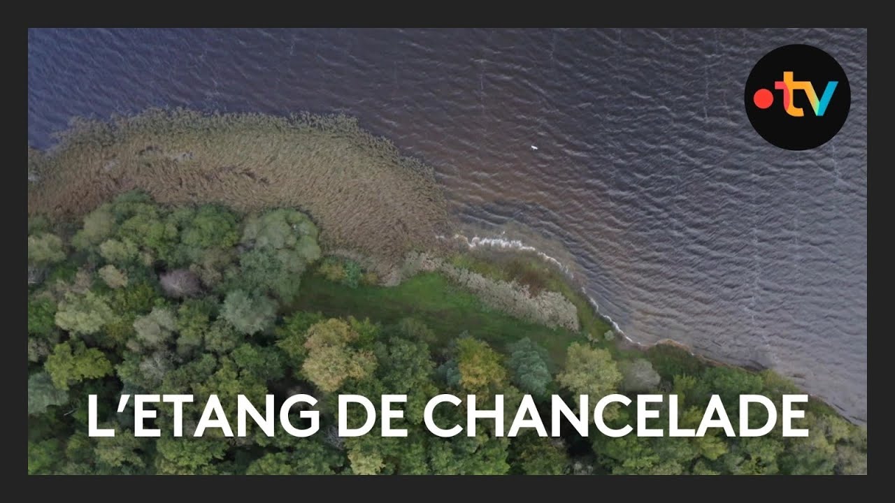 Randonnée : à la découverte de l’étang de Chancelade, dans le Puy-de ...
