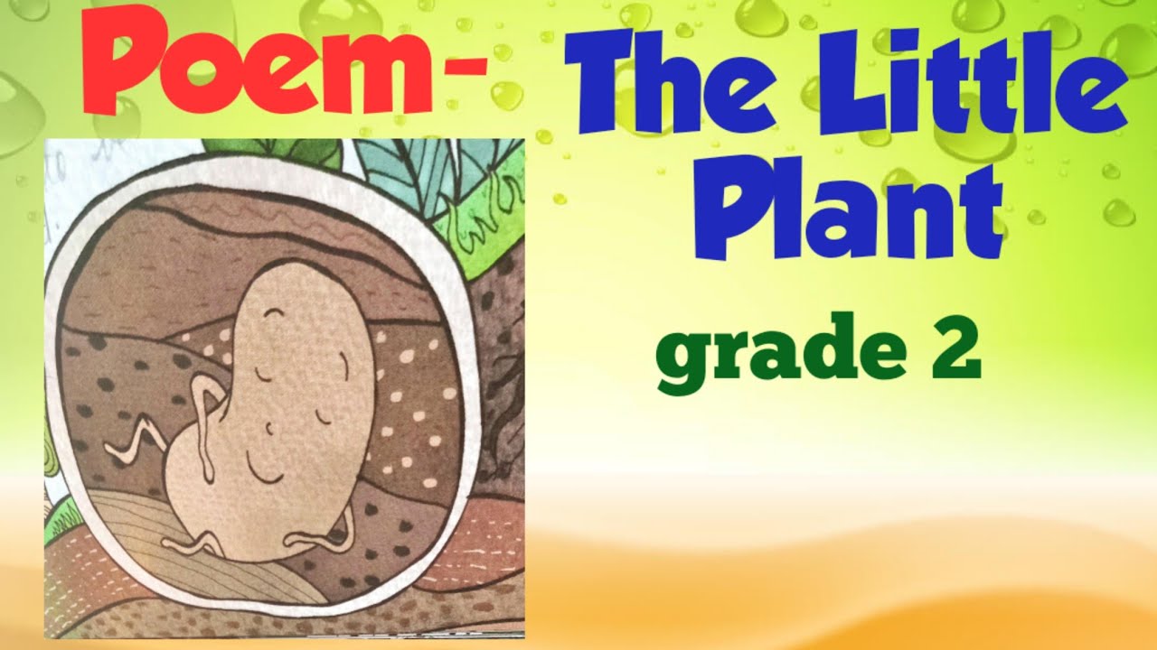 The Little Plant poem The Little Plant grade 2 YouTube the-little-plant-poem-the-little-plant-grade-2-youtube