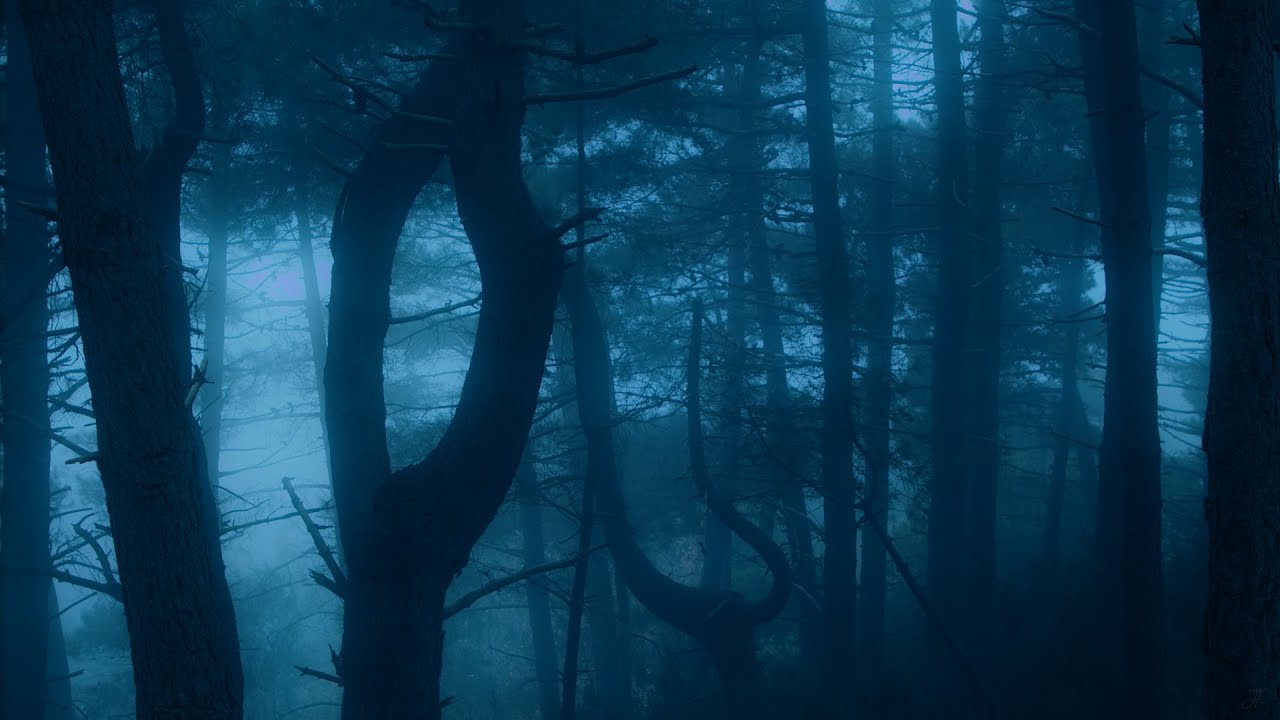 intense experience in the Fog to elevate the Spirit - YouTube