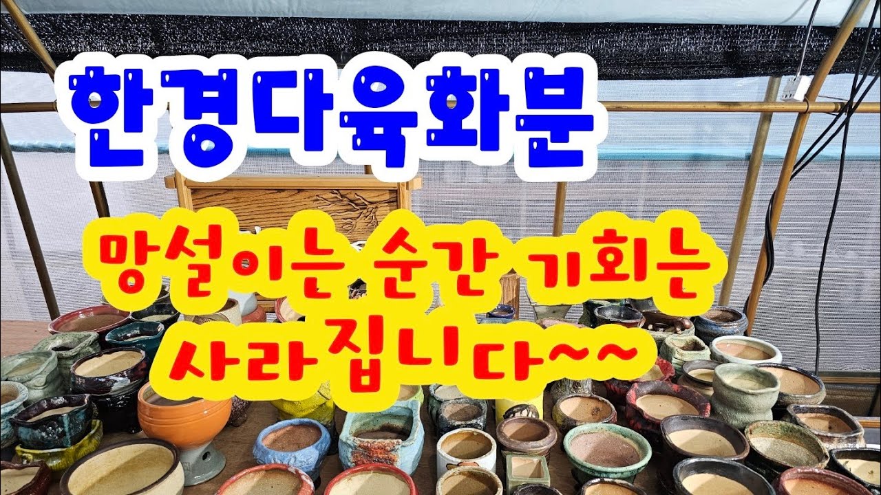 2023년8월5일 영상185회차 한경다육화분 수제다육화분 공방분 중고화분 다육생활 다육식물 Youtube
