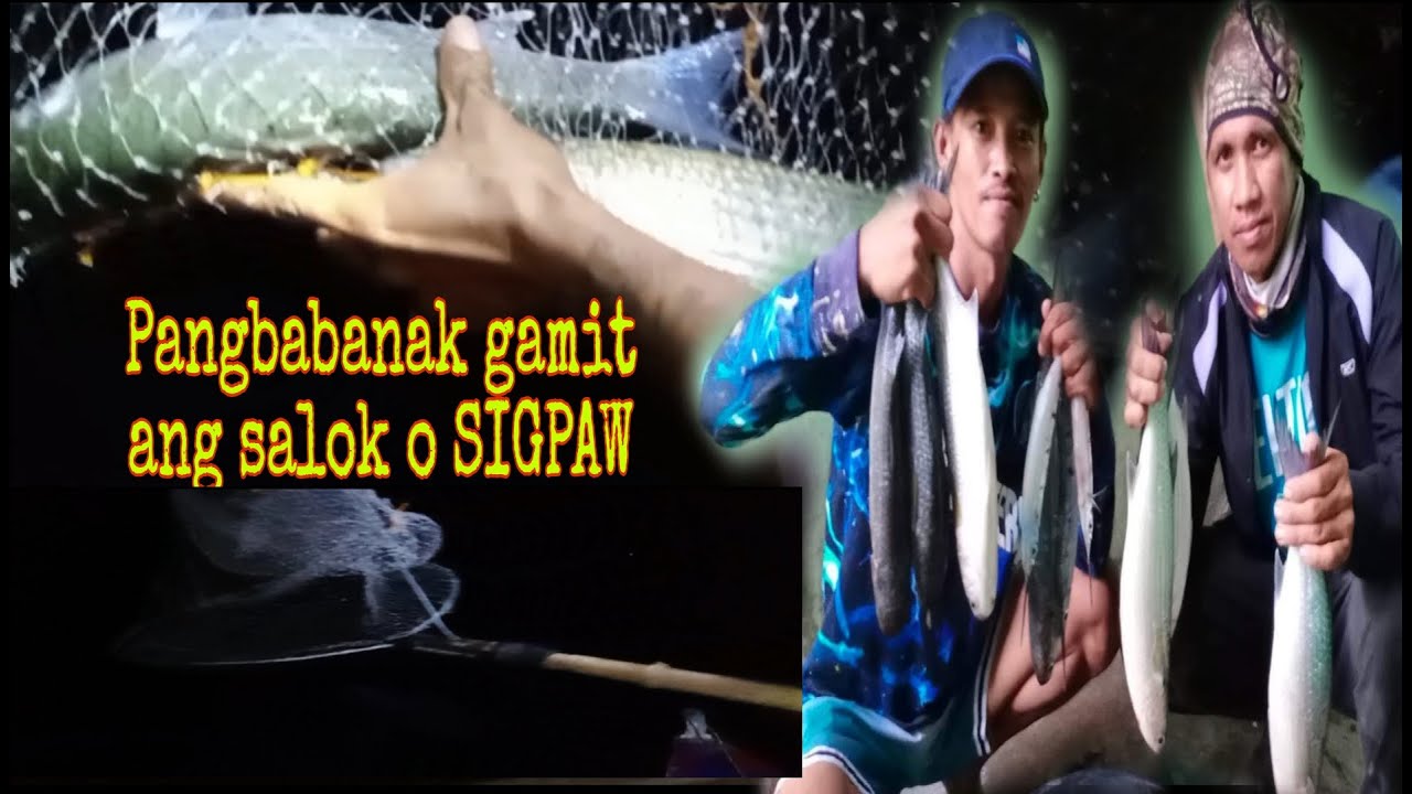 Pangbabanak sa Gabi gamit ang Salok o SIGPAW | TheHunters - YouTube