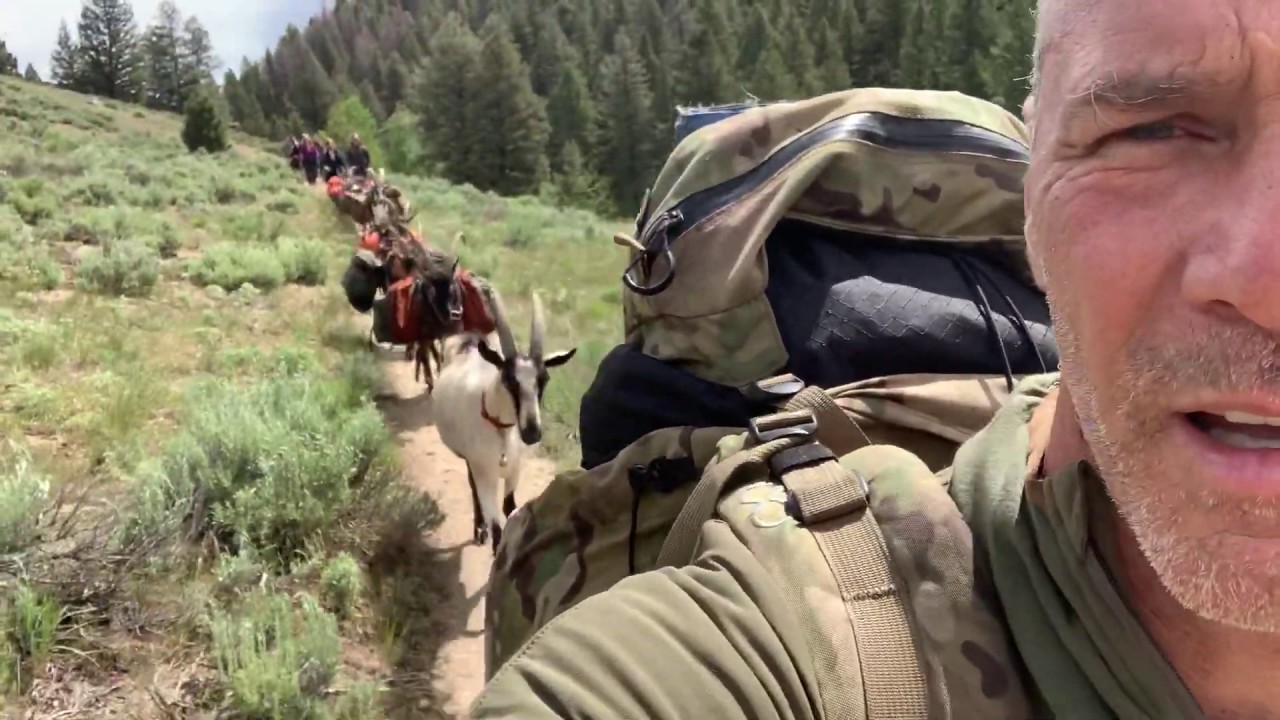 Goat Packing Trips with Me - YouTube