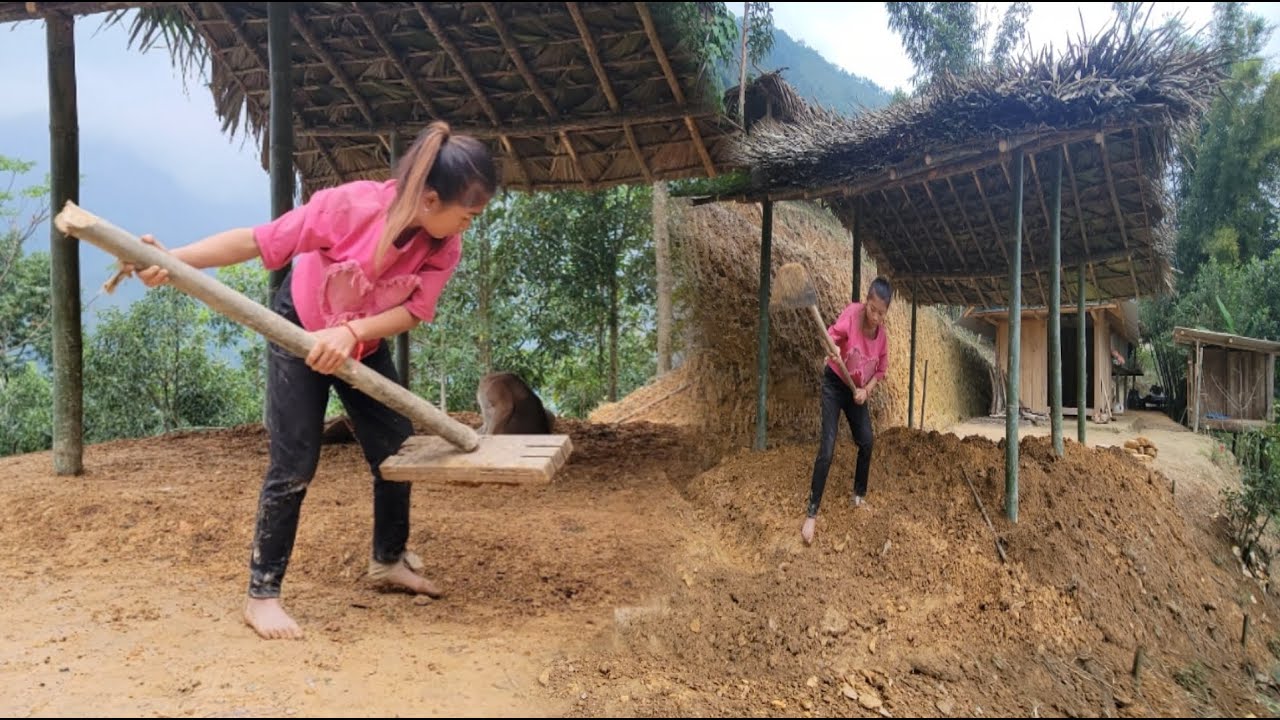 Repair the house's earthen floor - cut palm leaves - ha thi muon - YouTube