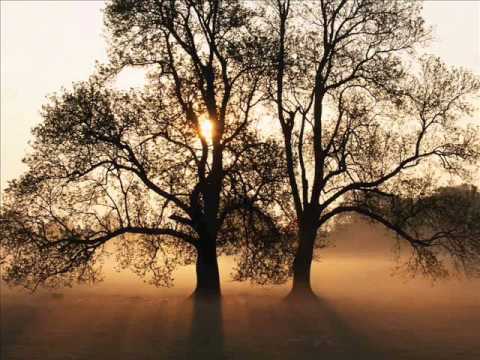 Nicat Mehbali - Nije lyubav stvar (cover)