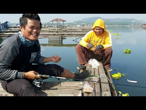 UCUY CIHUY | MANCING DI CIRATA STRIKE IKAN UNIK | BERSAMA BASELINI BANANA FISHING