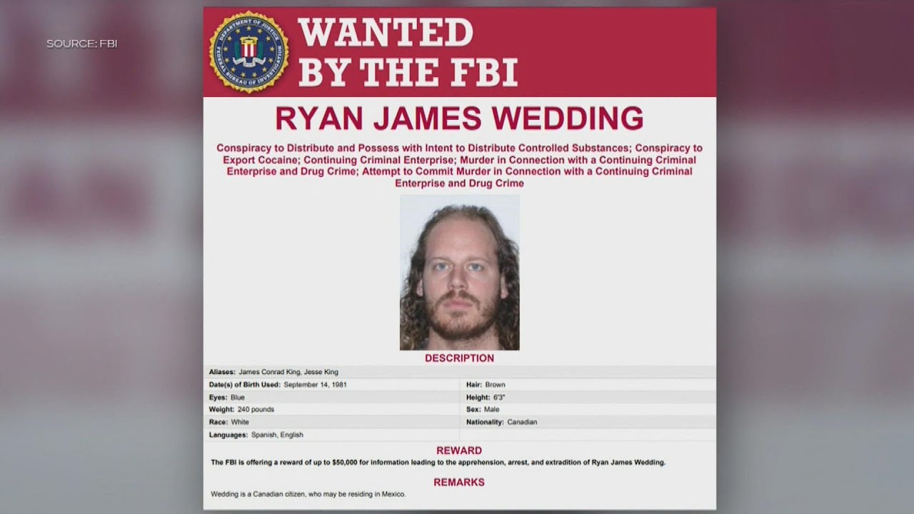 Former Canadian Olympian continues to evade police amid drug ...