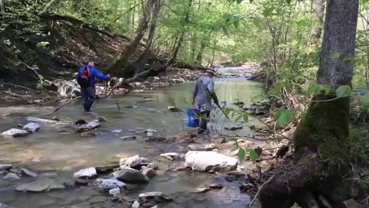 Hunting for Kentucky agate - YouTube
