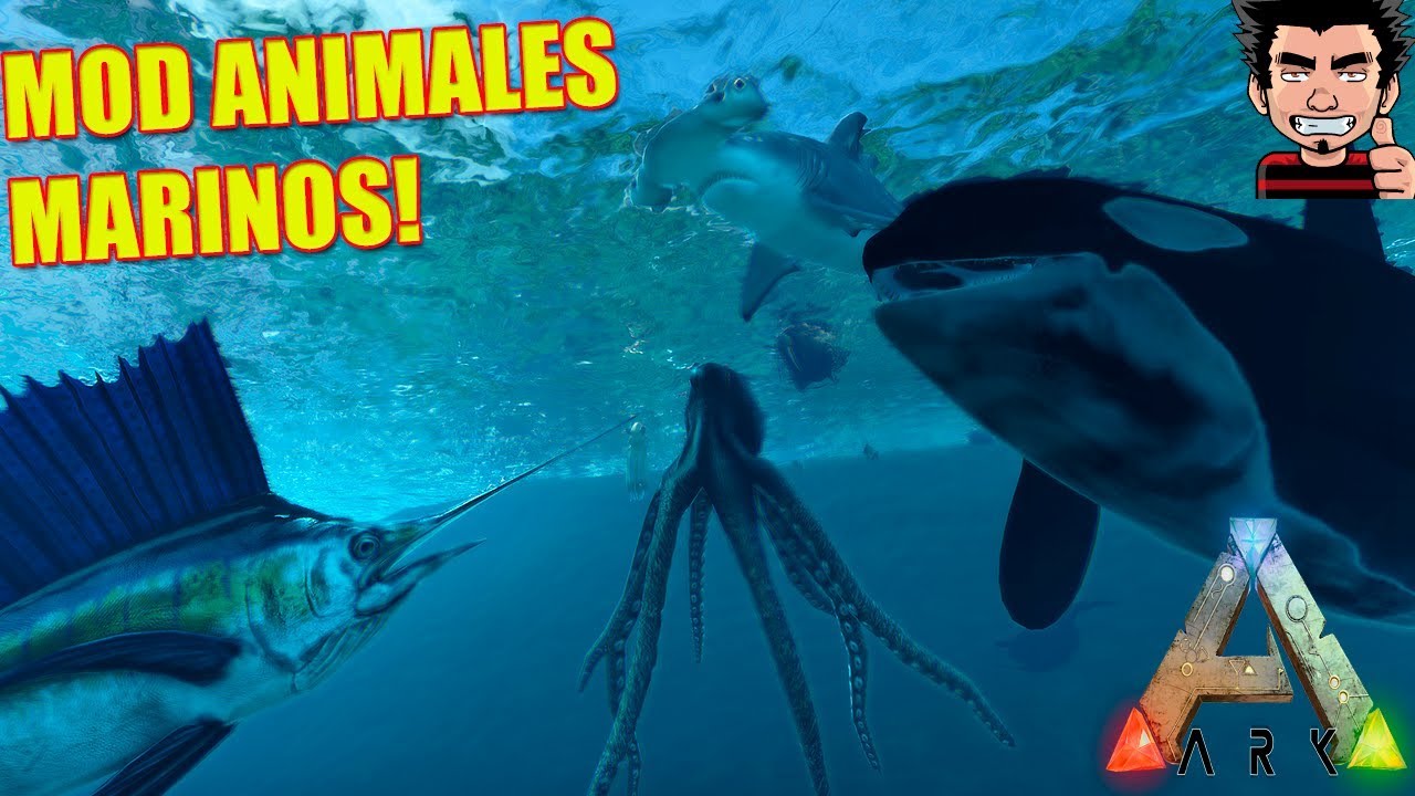 NUEVAS CRIATURAS MARINAS! ORCAS PEZ VELA MORSA NUEVO MOD ARK SURVIVAL ...