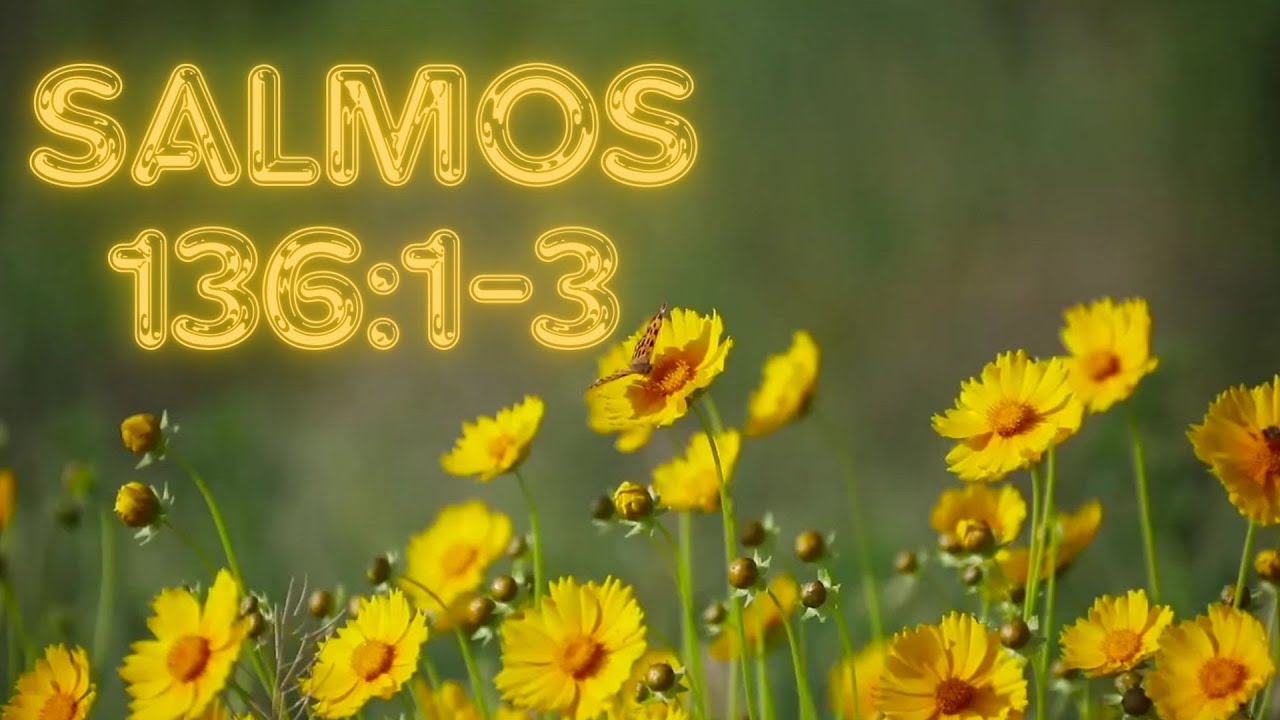 LINDO SALMOS 136:1-3 - YouTube