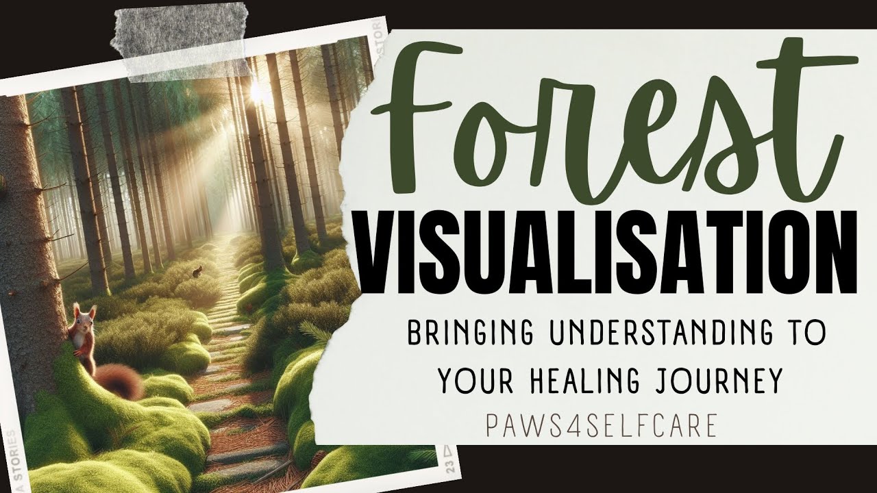 forest visualisation || calming visualisation - YouTube
