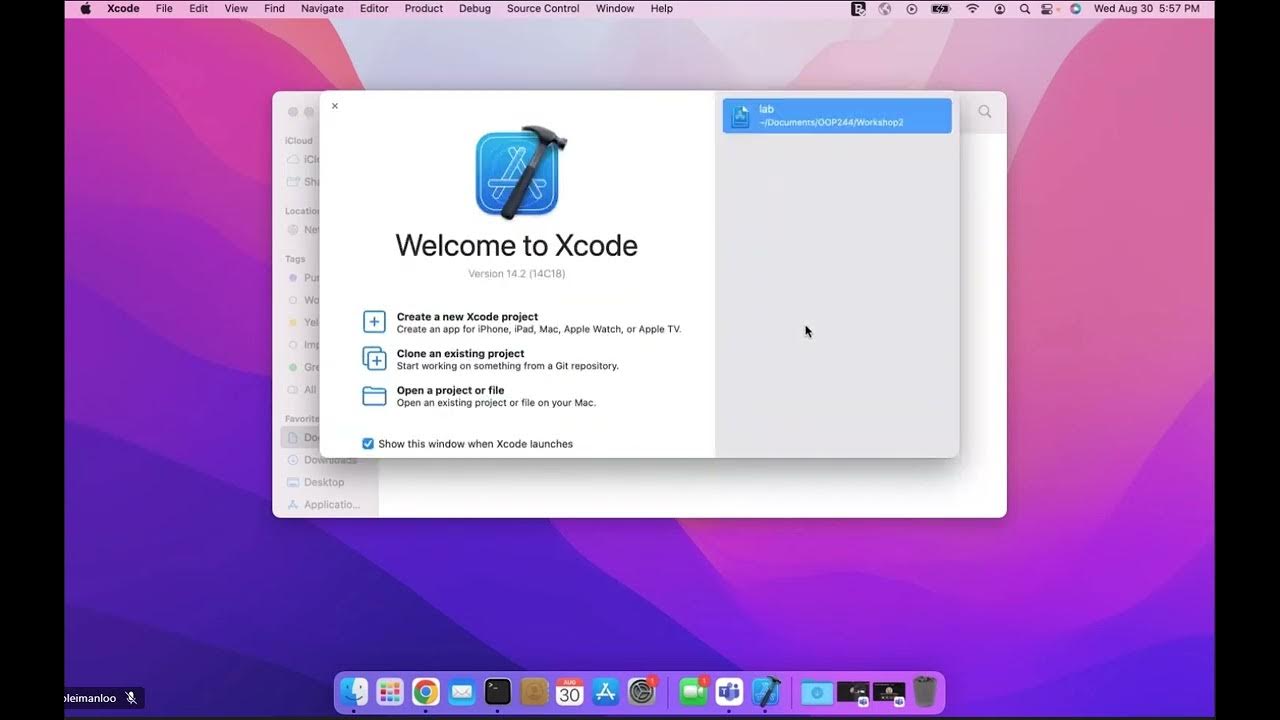 2237 - WZ01.1 - Creating Simple Console Application with XCODE (Mac Only) - YouTube