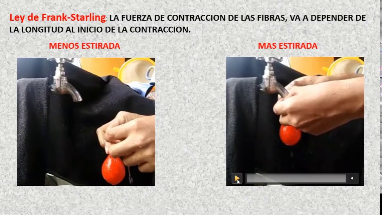 ¿Que es la precarga y poscarga? - YouTube