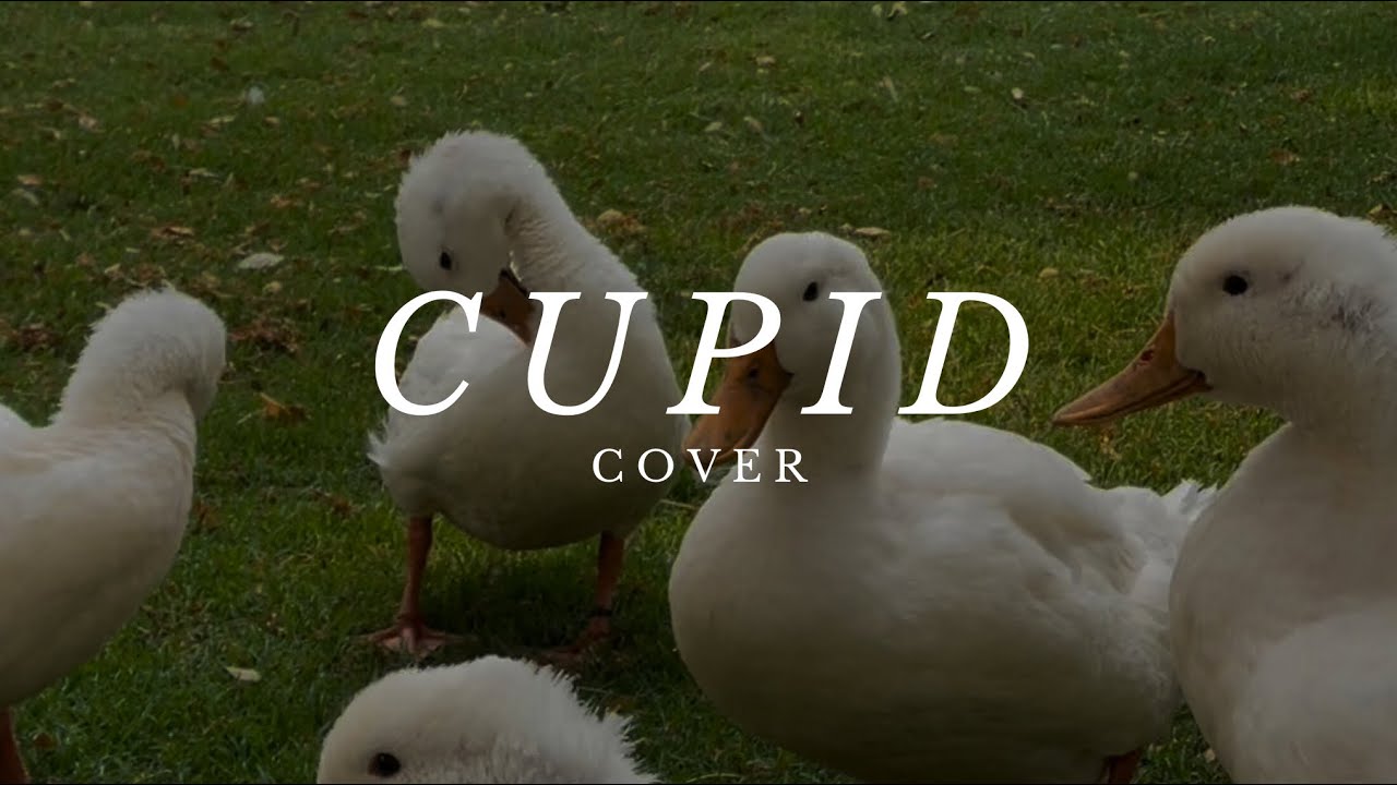 FIFTY FIFTY - Cupid (cover) - YouTube