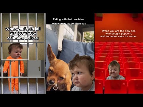 Best Hasbulla Eating Meme TikTok Compilation - YouTube