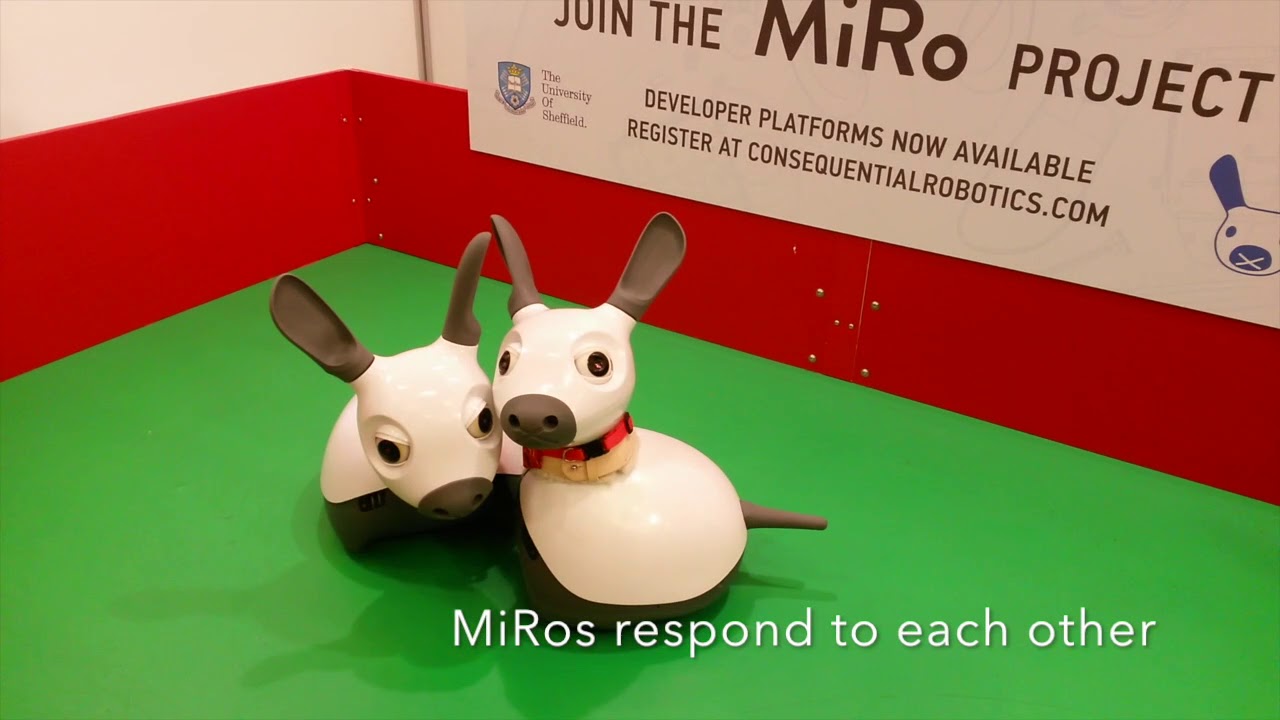 The MiRo Robot at ICRA - YouTube
