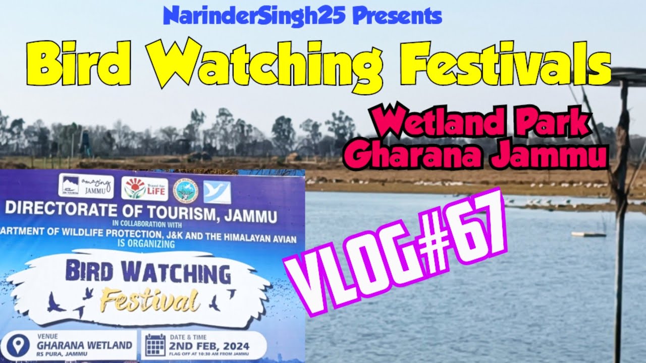 Bird Watching Festivals | Wetland Park Gharana Jammu - YouTube