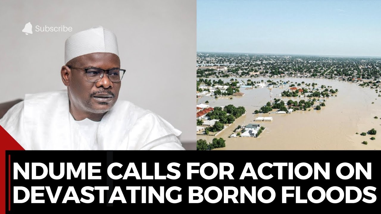 Senator Ali Ndume Calls for Urgent Action After Devastating Borno ...