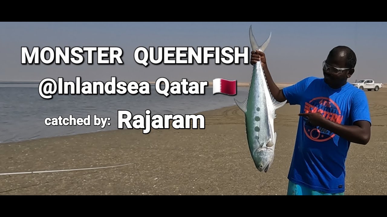 Monster Queenfish catched at the beach, Inlandsea Qatar - YouTube