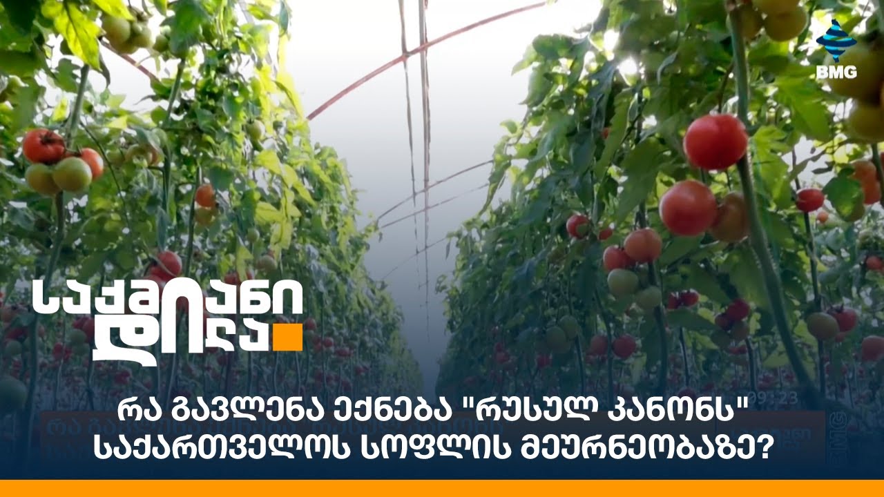 რა გავლენა ექნება რუსულ კანონს საქართველოს სოფლის მეურნეობაზე Youtube
