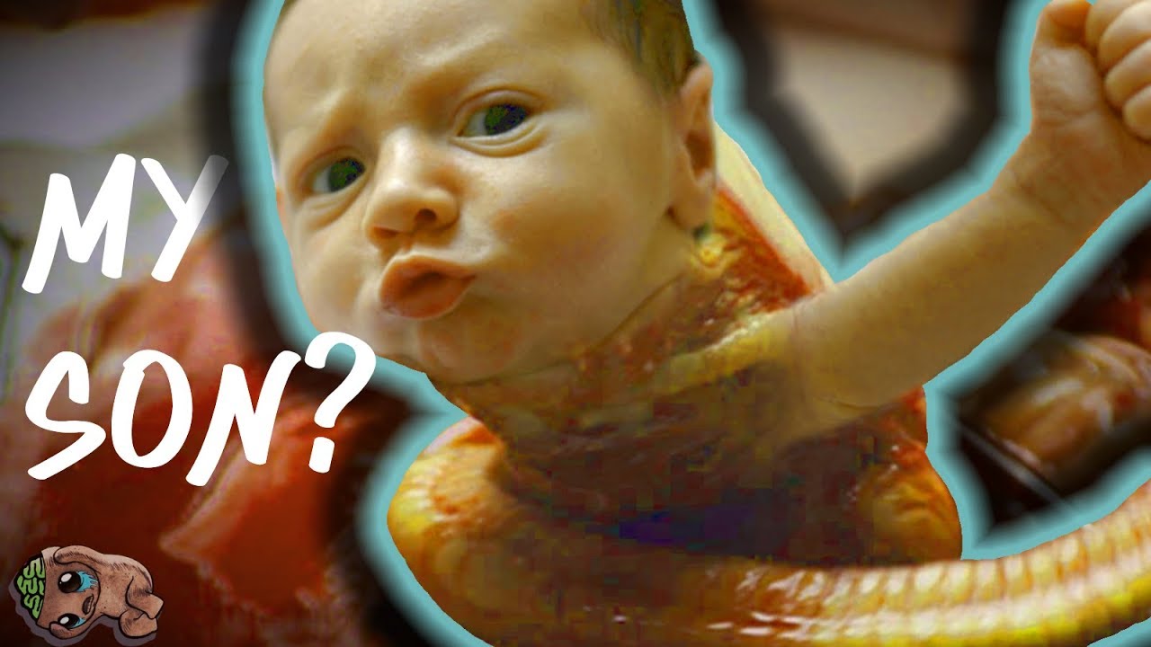 I Think I Have a Chestburster Baby | MBOI #11 - YouTube
