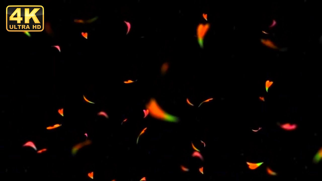 Flower shoots falling animation video, flowers falling loop video ...