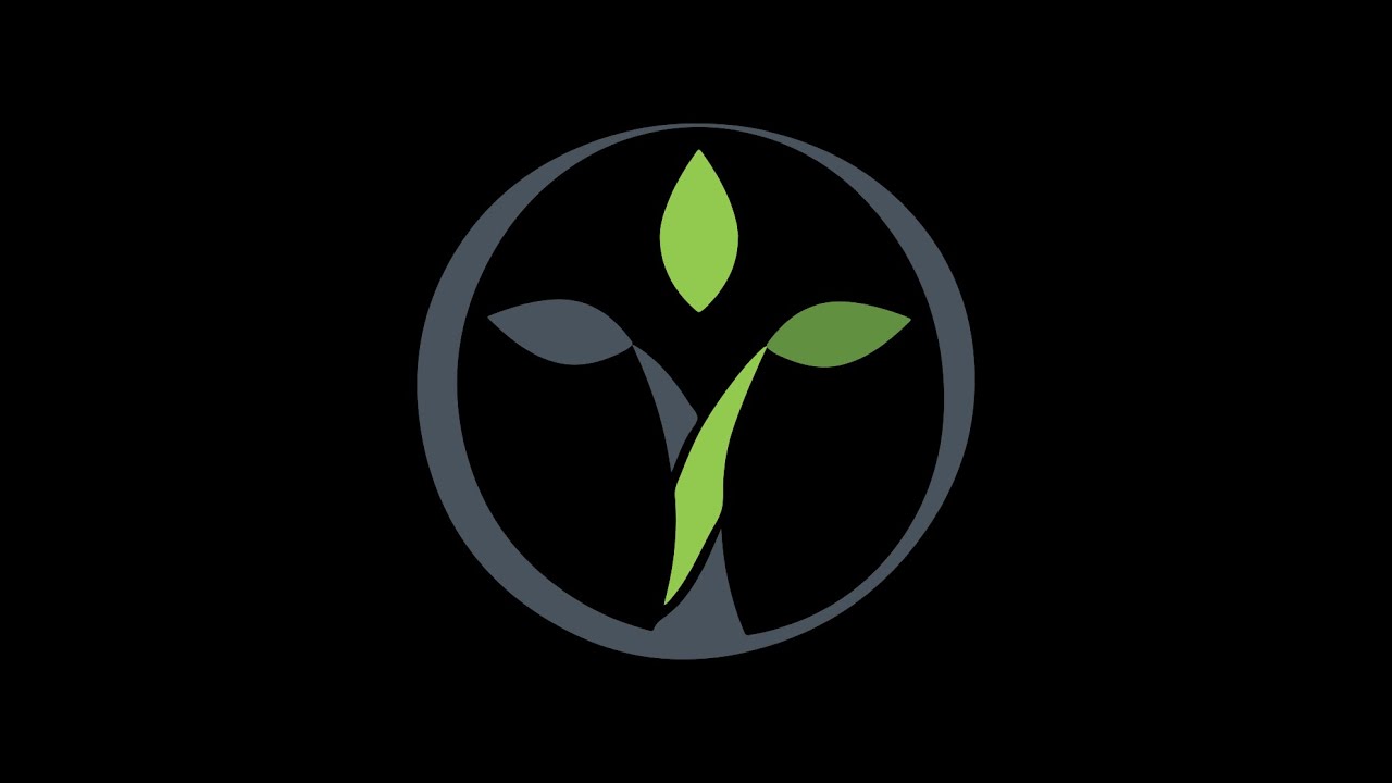 Branches Worldwide 2023 Legacy Vision - YouTube