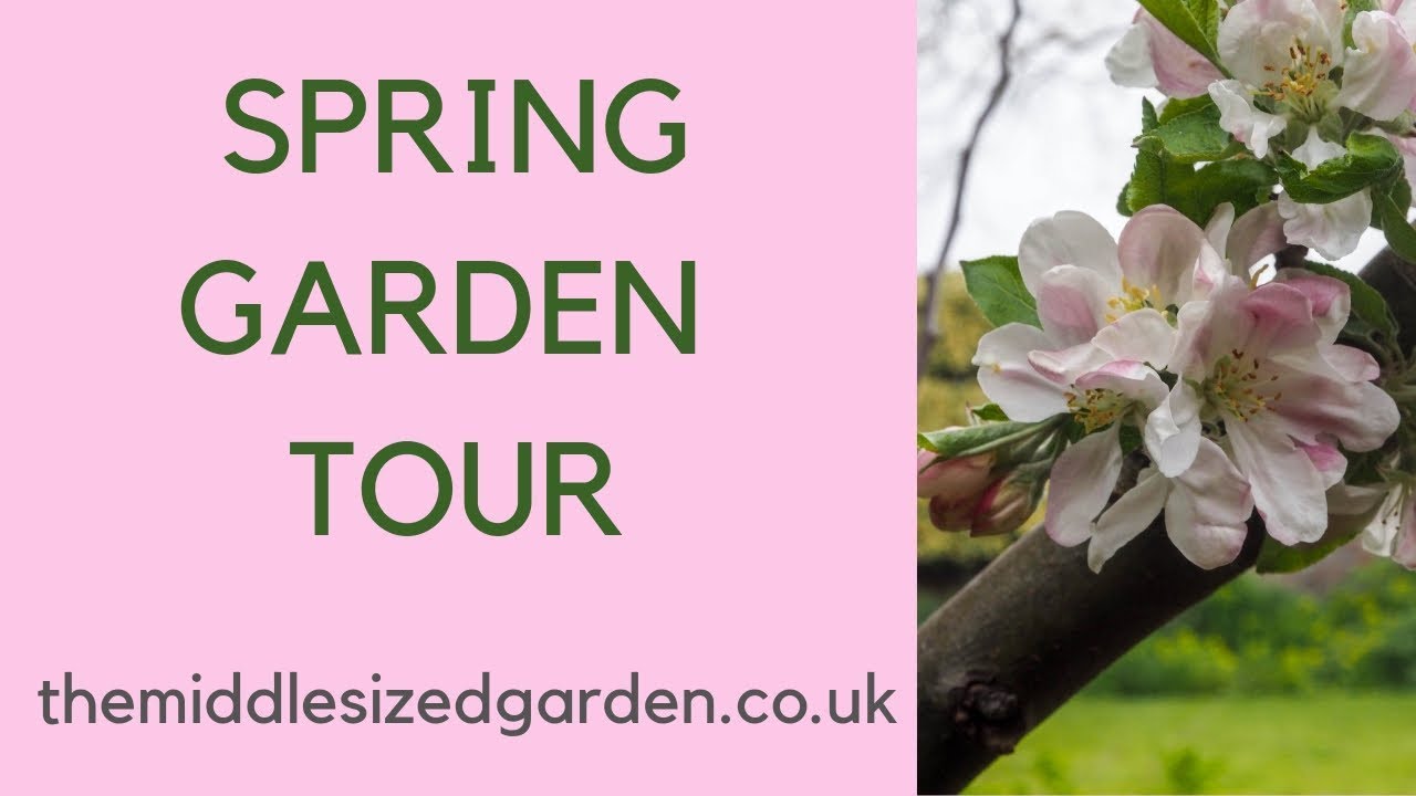 Spring garden tour! - YouTube