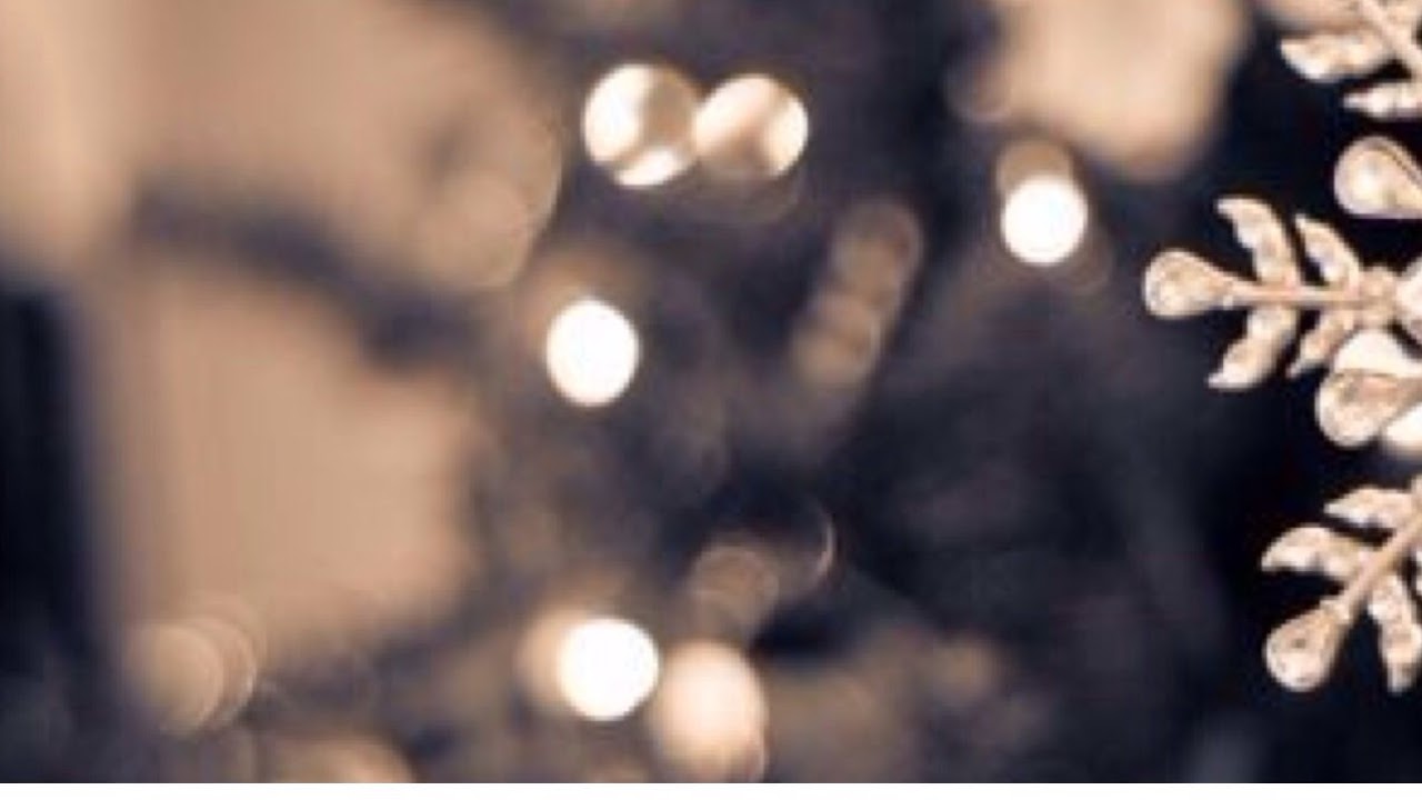 Jamie Roth Live Stream - YouTube