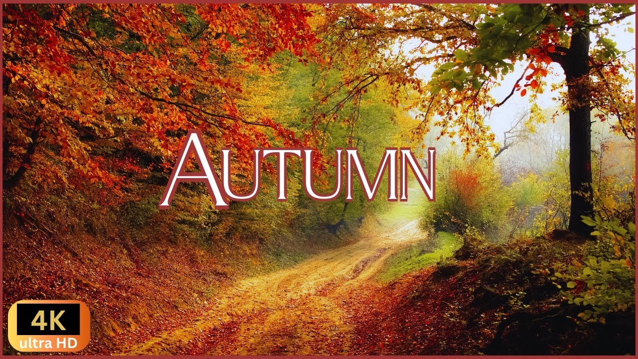 Enchanting Autumn Forests with Beautiful Classical Piano Music 🍁4K ...