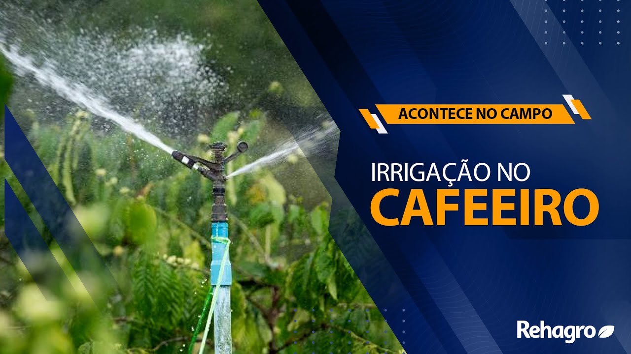 IRRIGAÇÃO NO CAFEEIRO: ENTENDA SOBRE A SUA IMPORTÂNCIA | Acontece no ...