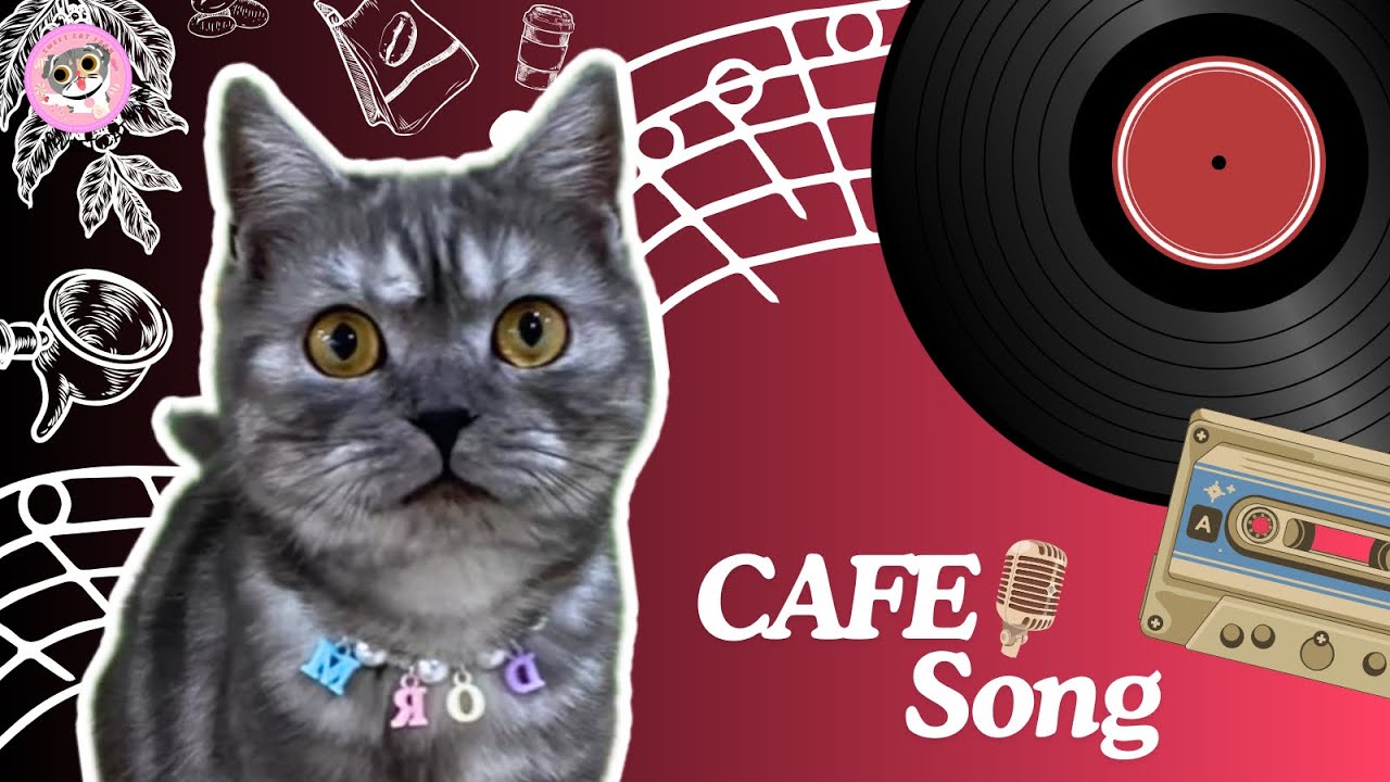 Cafe Song Ep.3 By Sweet Cat Cafe - YouTube