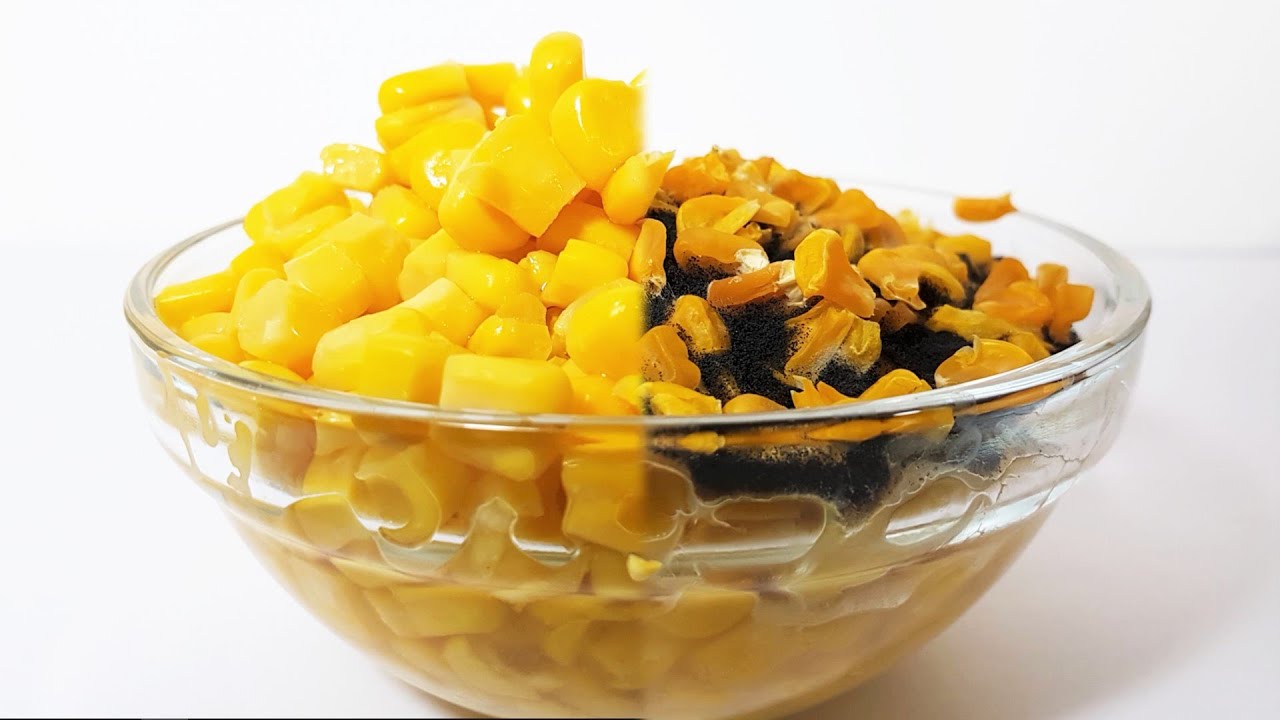 Sweet Corn Macro Time Lapse - 10 Days - 4K - YouTube
