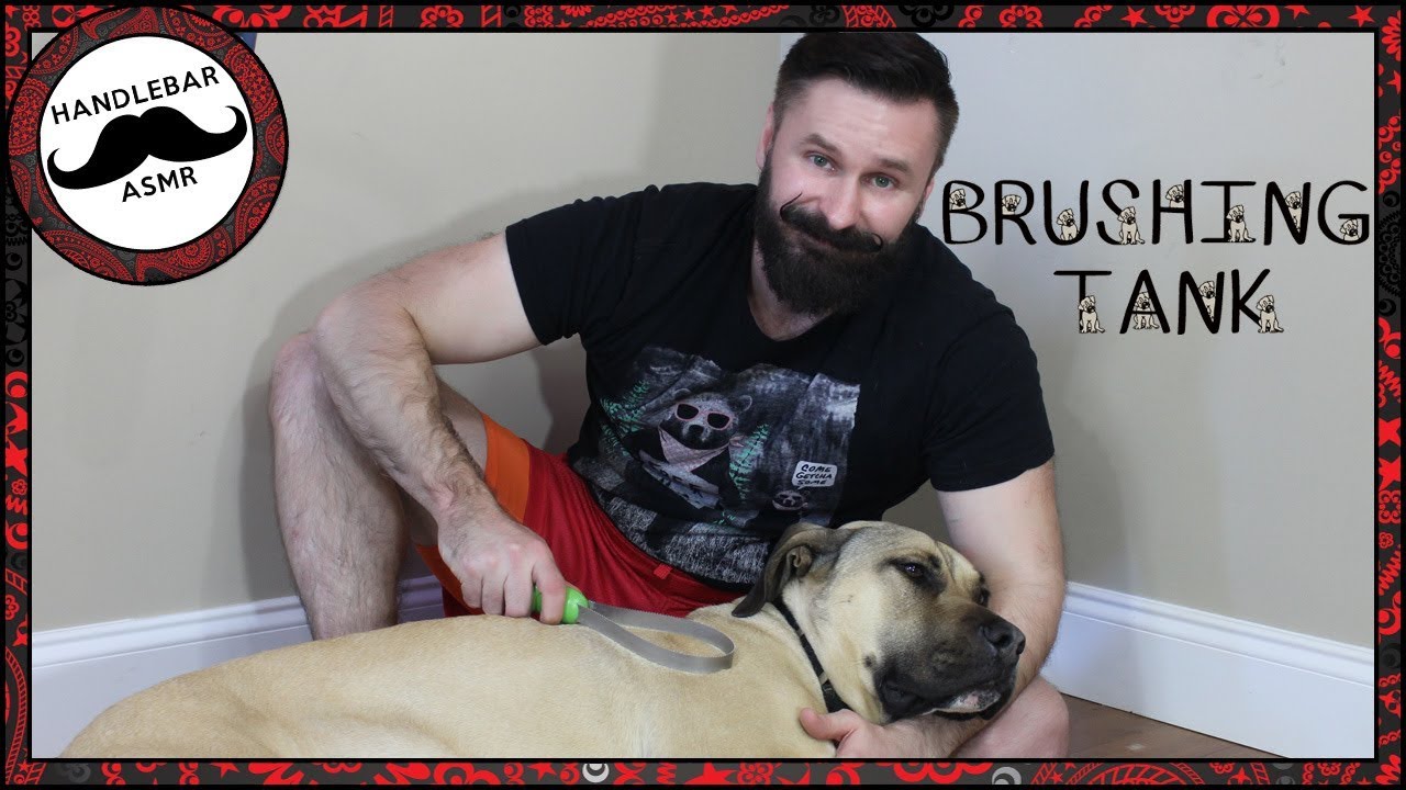 Handlebar ASMR Brushing Tank - YouTube