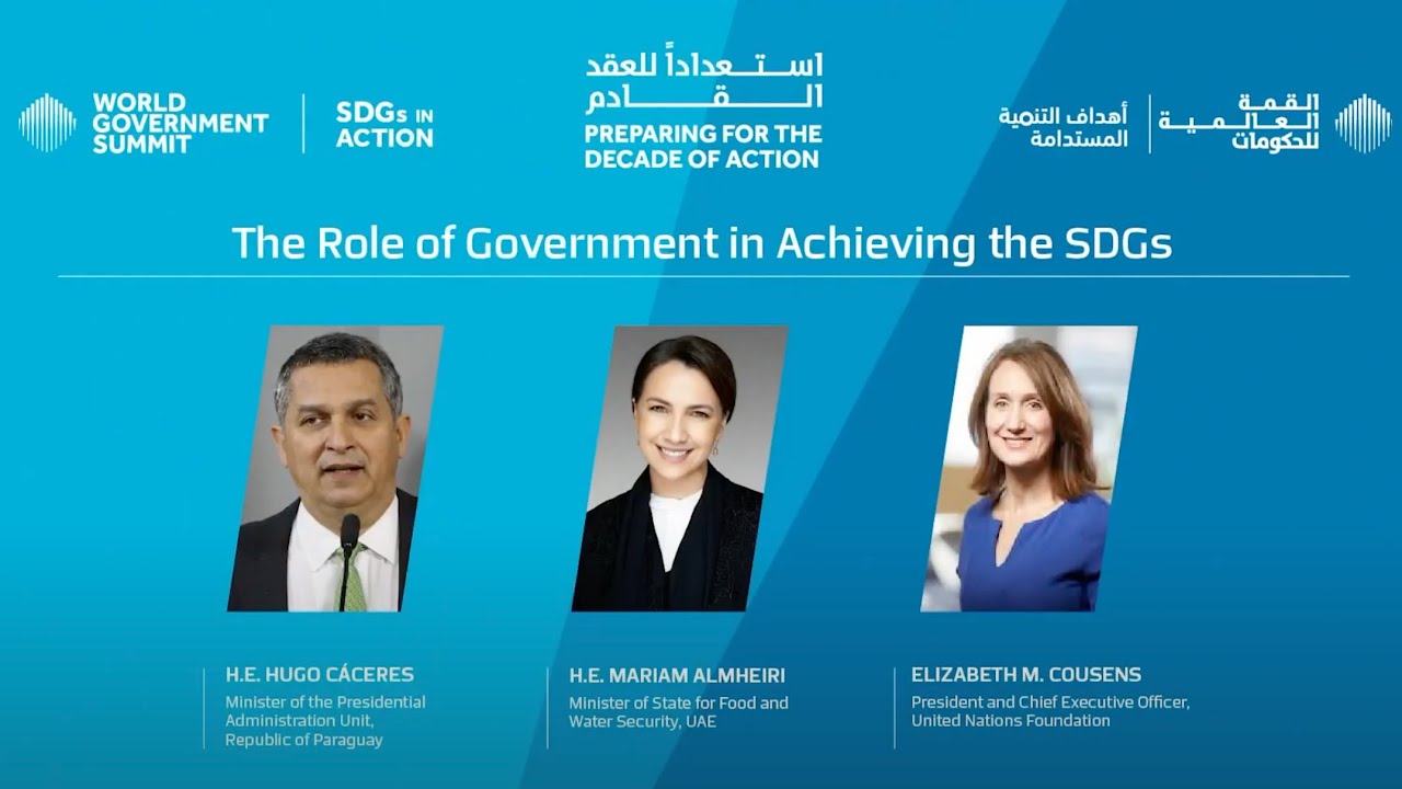 The Role of Government in Actioning the SDGs - YouTube