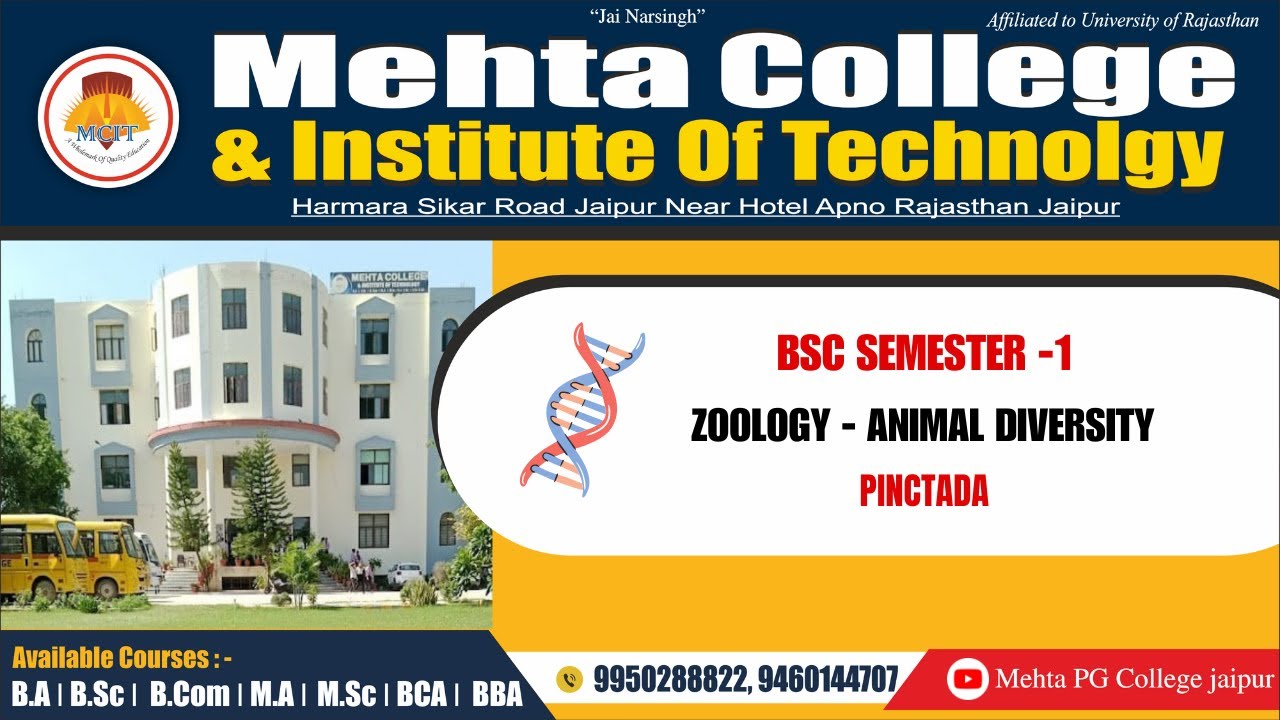 BSC SEMESTER 1 ZOOLOGY - ANIMAL DIVERSITY - MOLLUSCA REPRESENTATIVE ...
