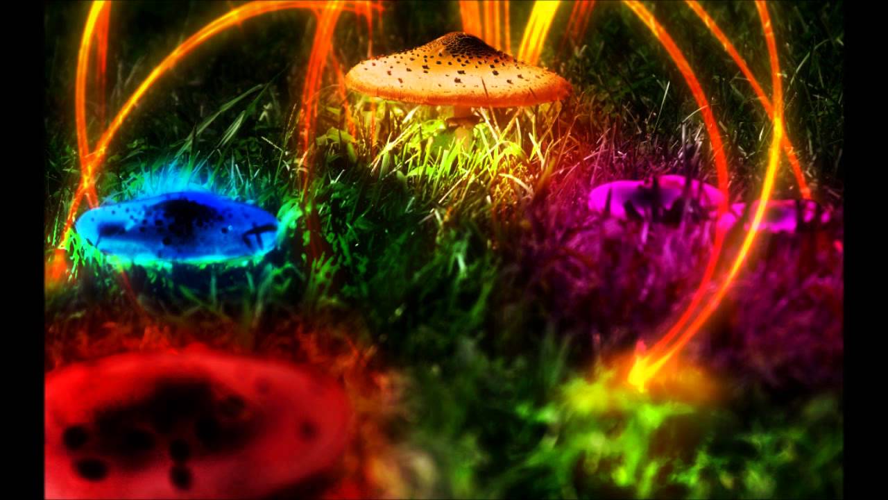 "psychedelic evolution 2" psytrance mix (135-145 bpm) - YouTube
