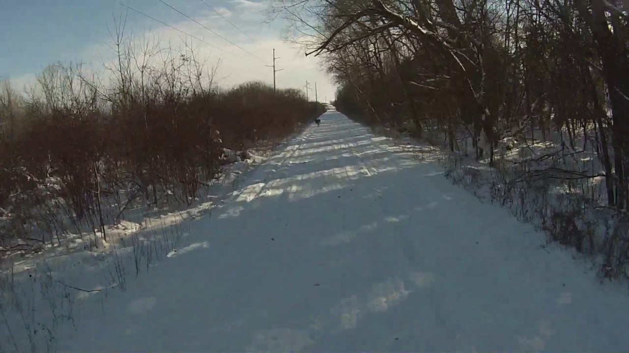 Sled Deer - YouTube