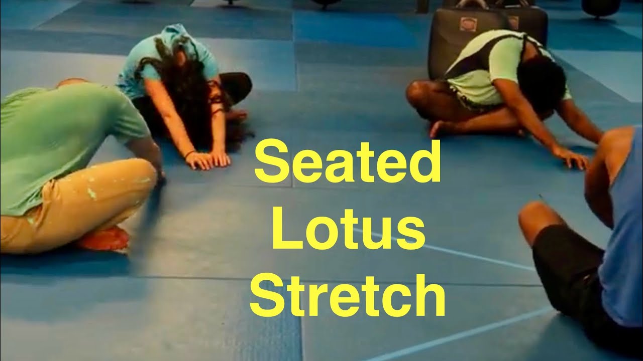 Seated Lotus Stretch Post Workout 💪☯️ Tai Chi Hybrid Training - YouTube