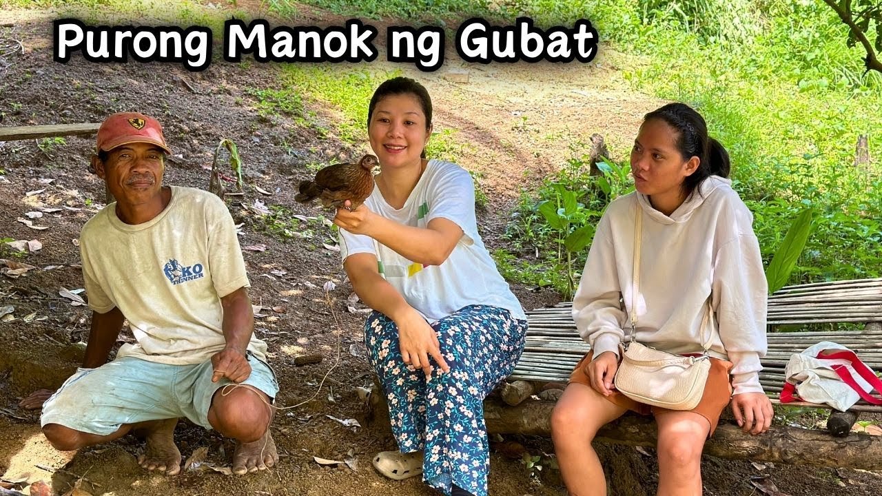 Pinatawag kami ni Tay Carlos at nawala ang Labuyong tandang sa Farm ...