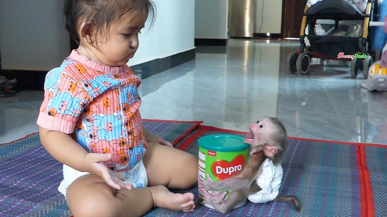 Very Lovely!! Newborn Pruno Hug Milk Cane Waiting Little Girl Tevy Feed ...