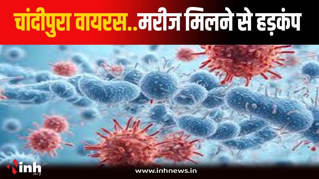 CMHO Gwalior ने जारी की एडवाइजरी, बुखार के साथ सिरदर्द Virus के प्रमुख लक्षण | Chandipura Virus ...