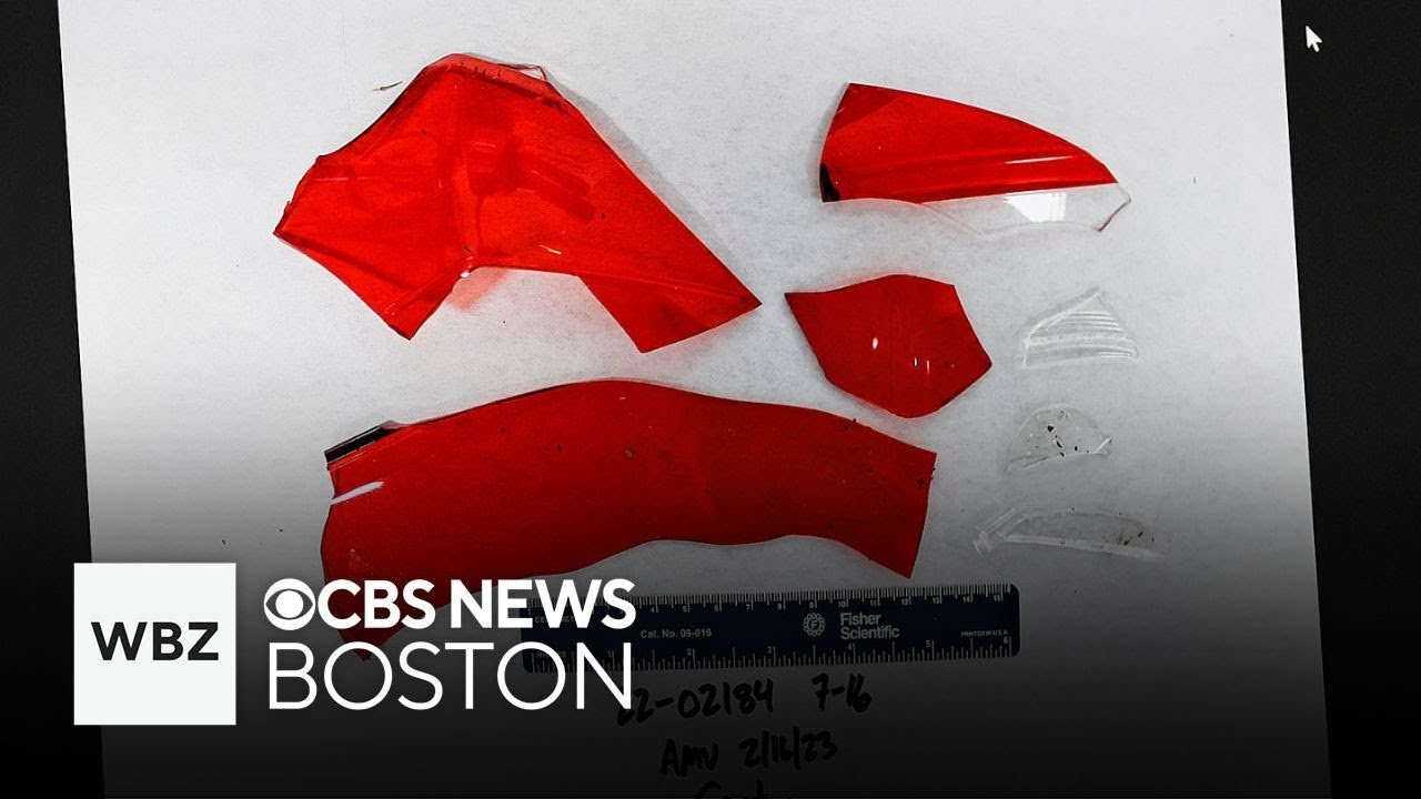 Discussing the Karen Read trial: Physical evidence takes center stage ...