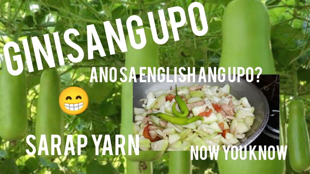 Ano ang Magalang na GULAY? SA ENGLISH ITO AY BOTTLE GOURD | COOK ...