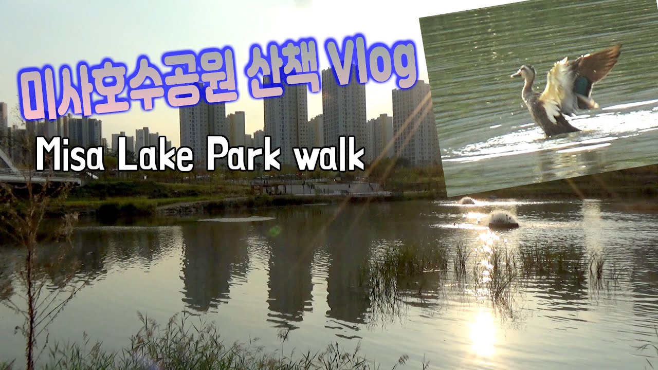 Misa Lake Park in Korea walk 미사호수공원 산책 브이로그 Vlog 김톰슨 - YouTube