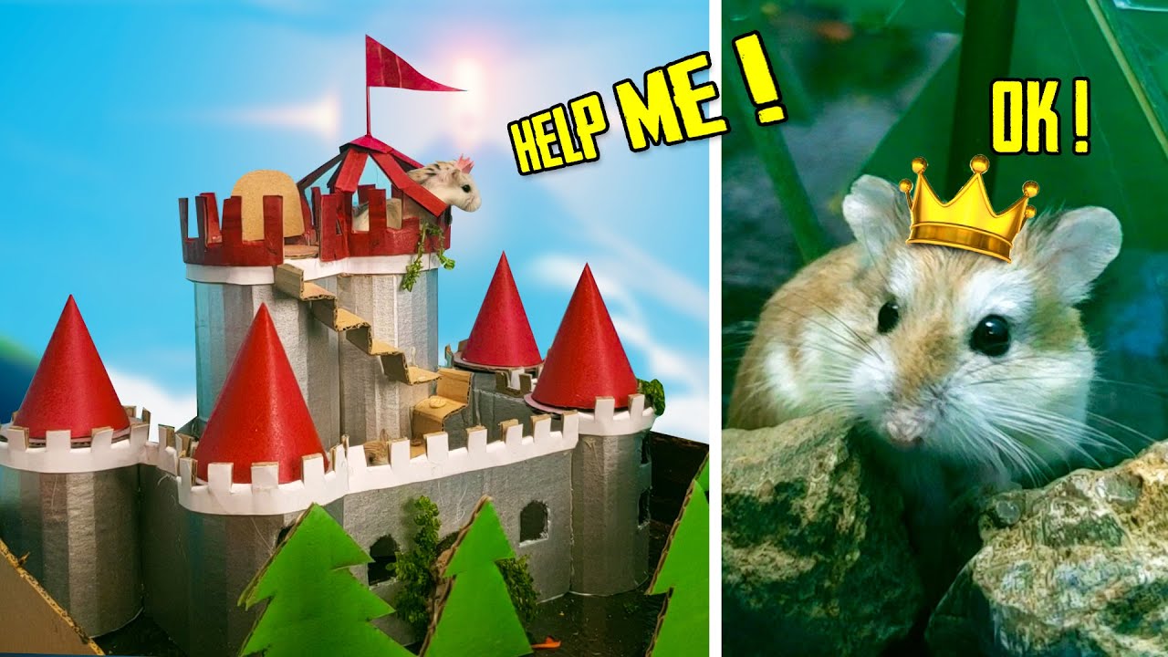 Hamster Prince Rescues the Princess | Hamster obstacle course DIY by ...