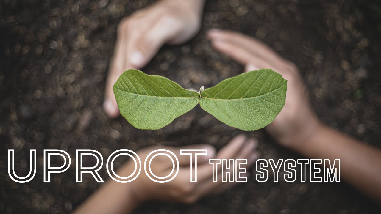 Uproot the System - YouTube